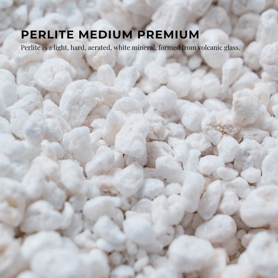 100L Perlite Medium Premium Soil Expanded Plant Growing Media Plants ...